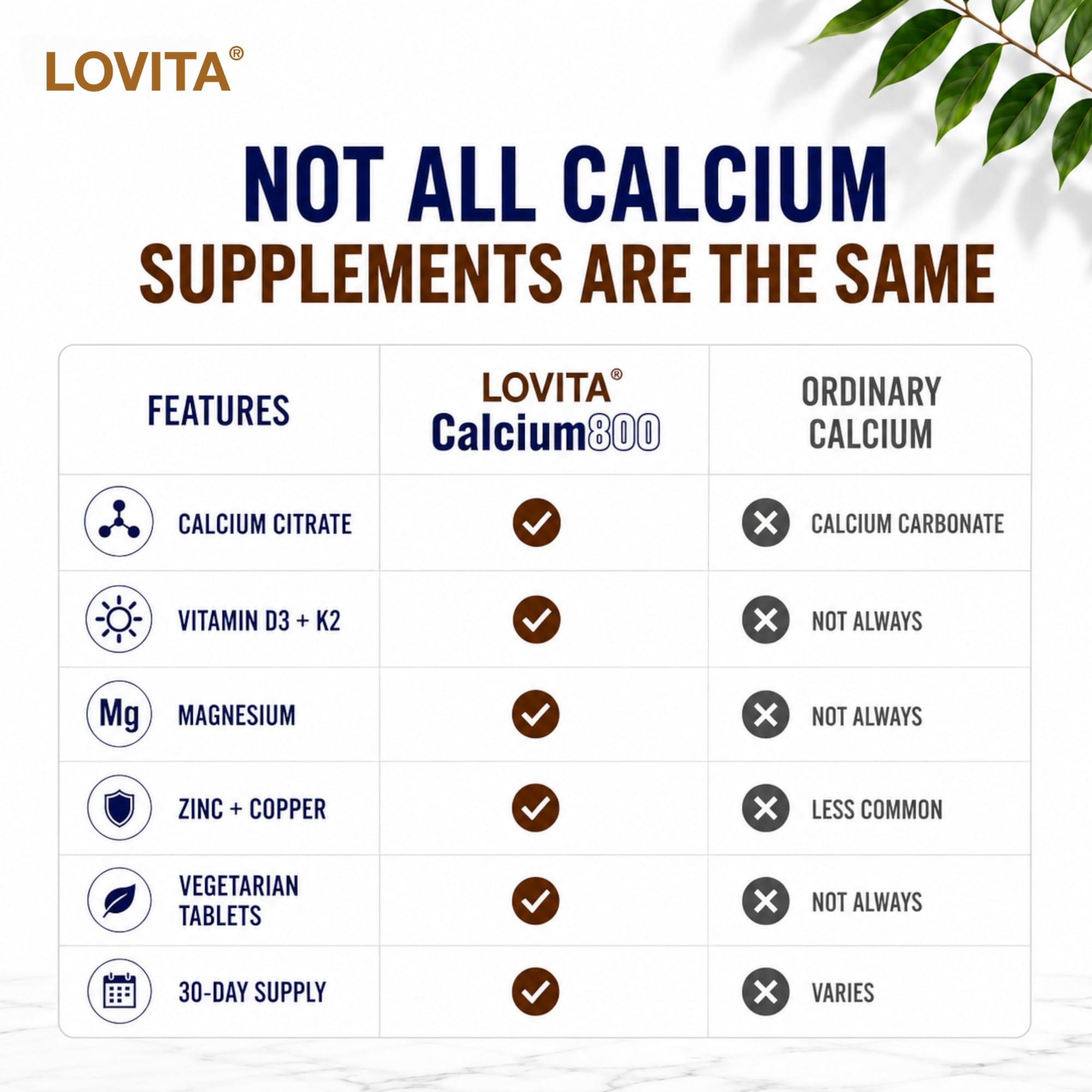 calcium supplement with vitamin K2