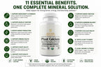 calcium tablets for optimal absorption