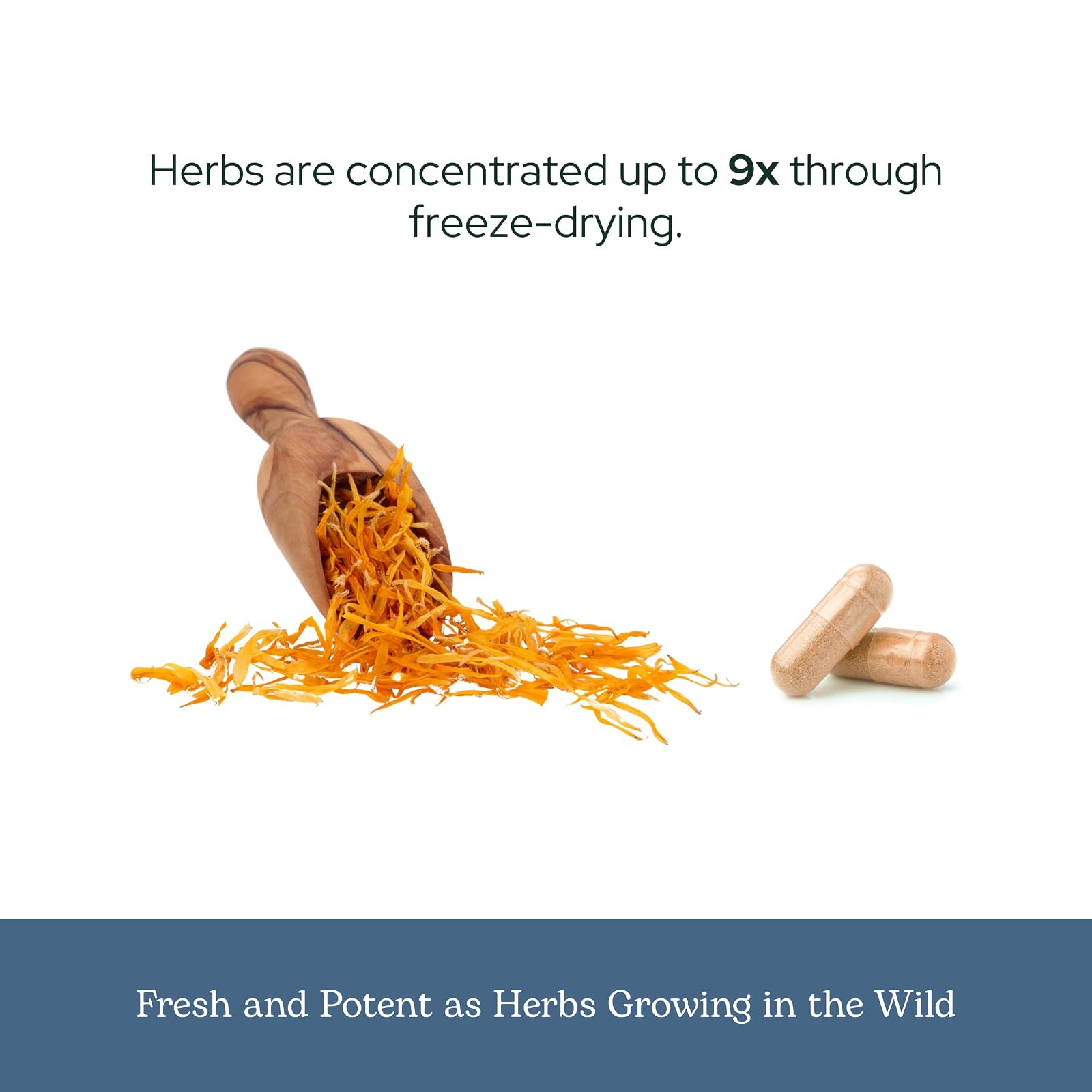 calendula capsules for inflammation relief