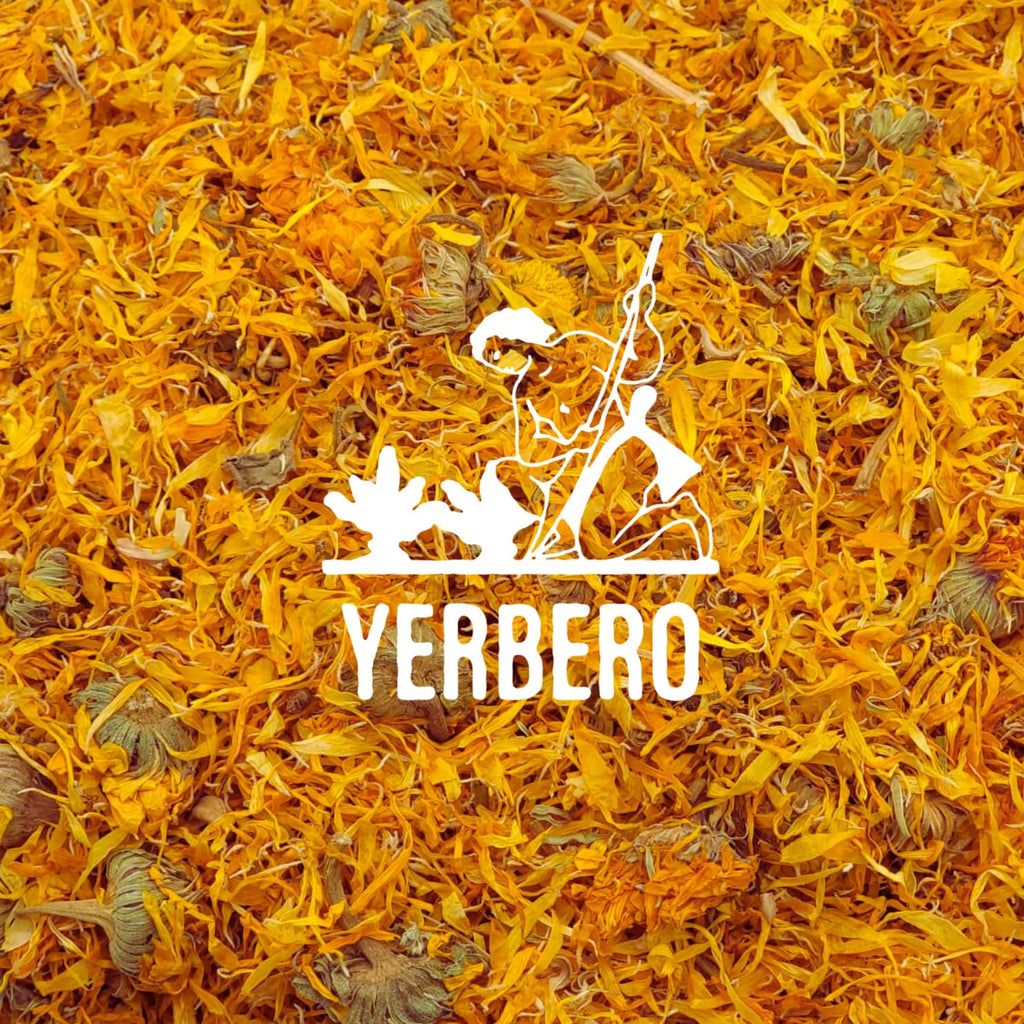 calendula flowers for herbal infusions