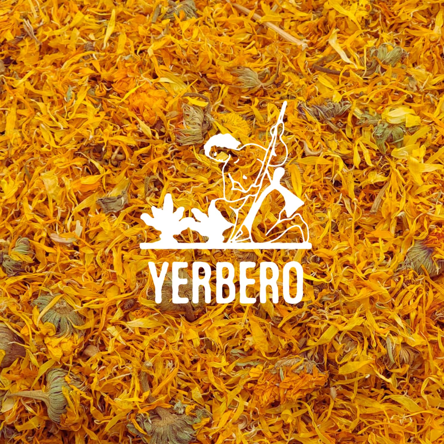 calendula flowers for herbal infusions
