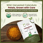 calendula herbal infusion benefits