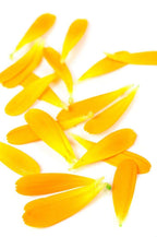 calendula petals for tea infusion