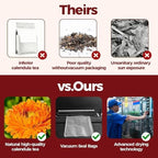 calendula tea bags for digestive support