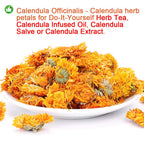 calendula tea for immune support