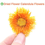calendula tea for soothing digestion