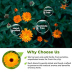 calendula tea for wellness