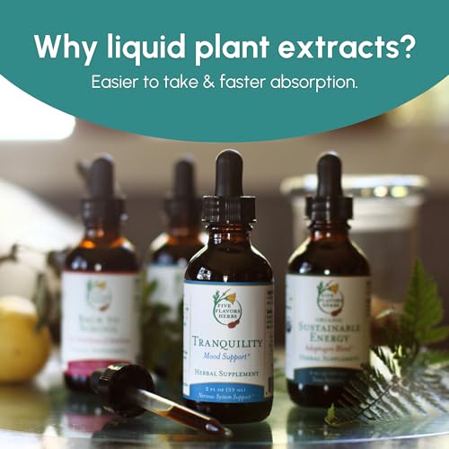 Calm mind and focus with Reishi extract