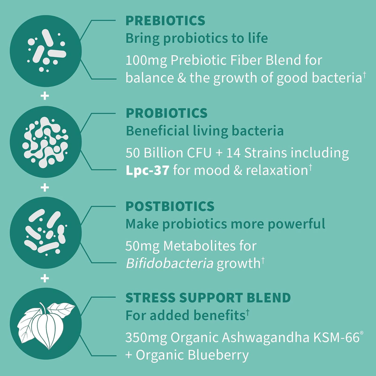 Calm probiotics for gut balance