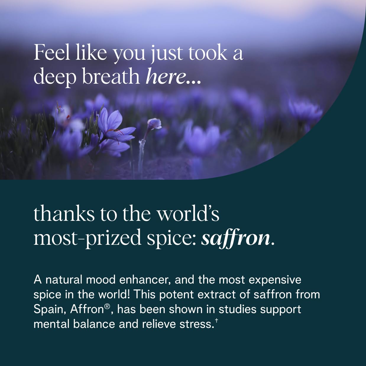 calm your mind with ashwagandha