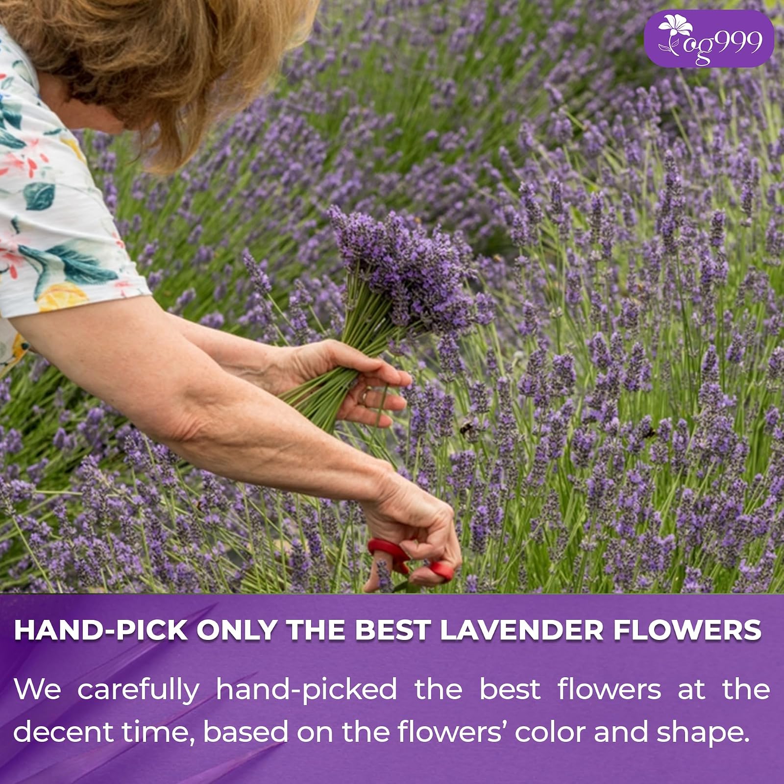 calming chamomile and lavender blend