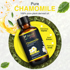 calming chamomile tea aroma