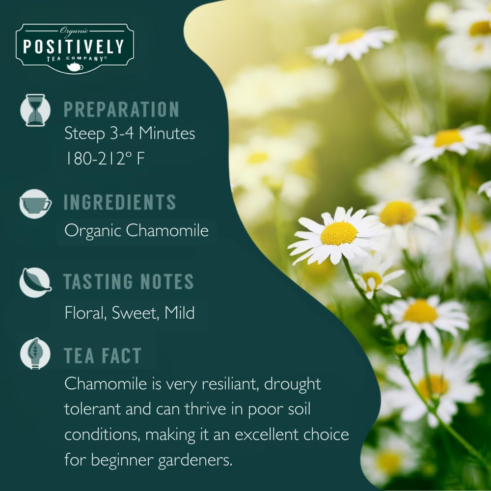 calming chamomile tea for relaxation