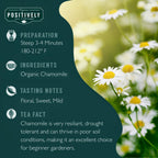 calming chamomile tea for relaxation