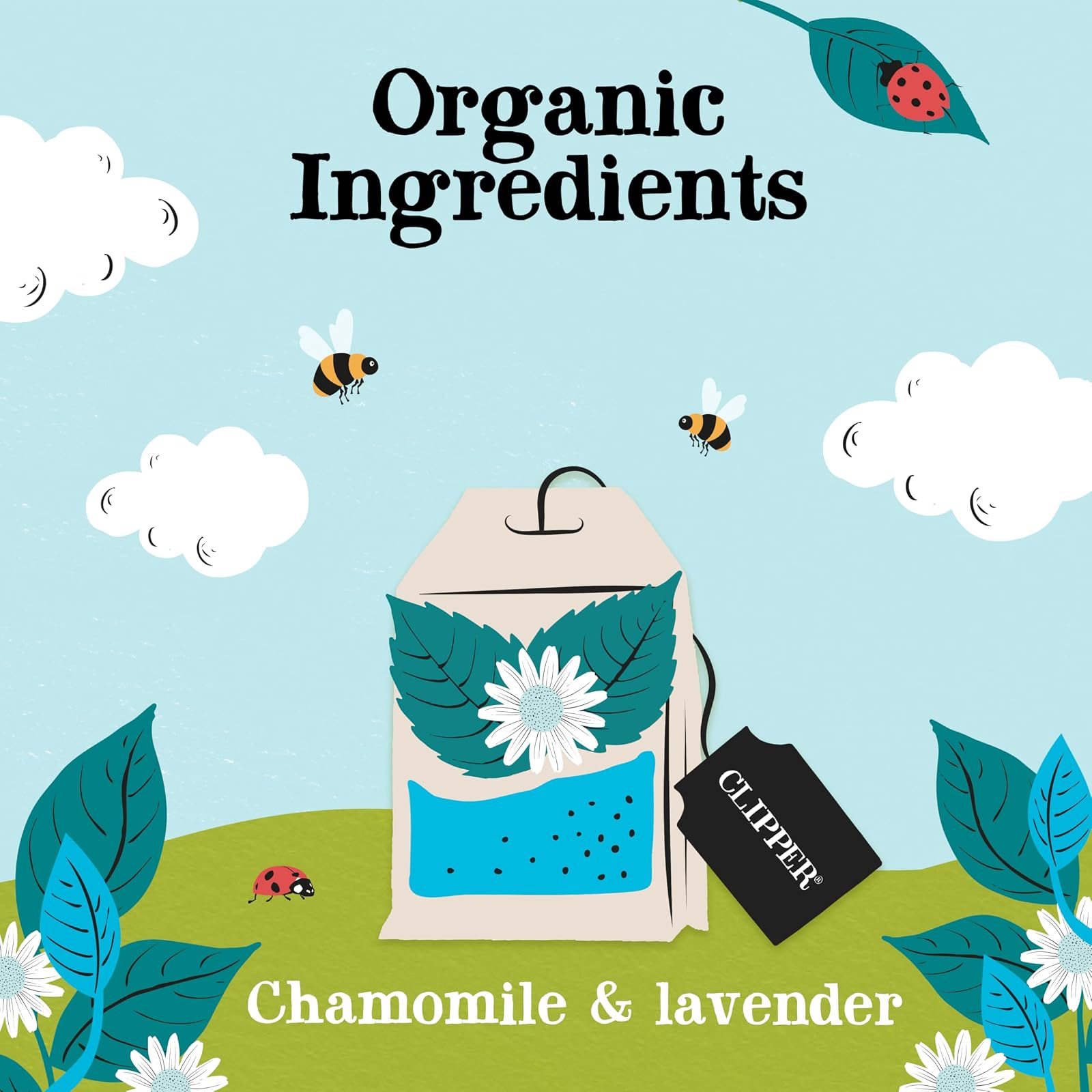 calming chamomile tea for sleep