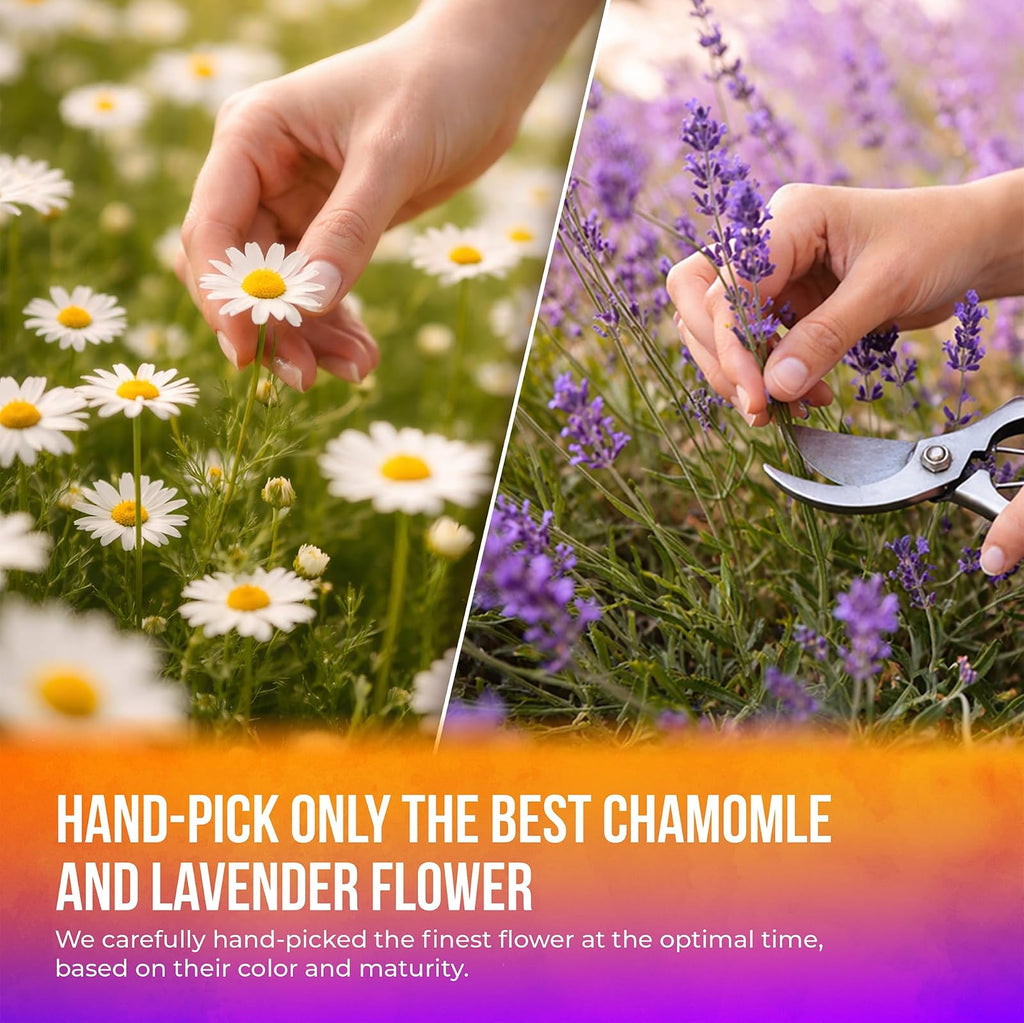 calming chamomile tea for sleep