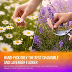 calming chamomile tea for sleep