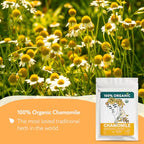 calming chamomile tea for sleep