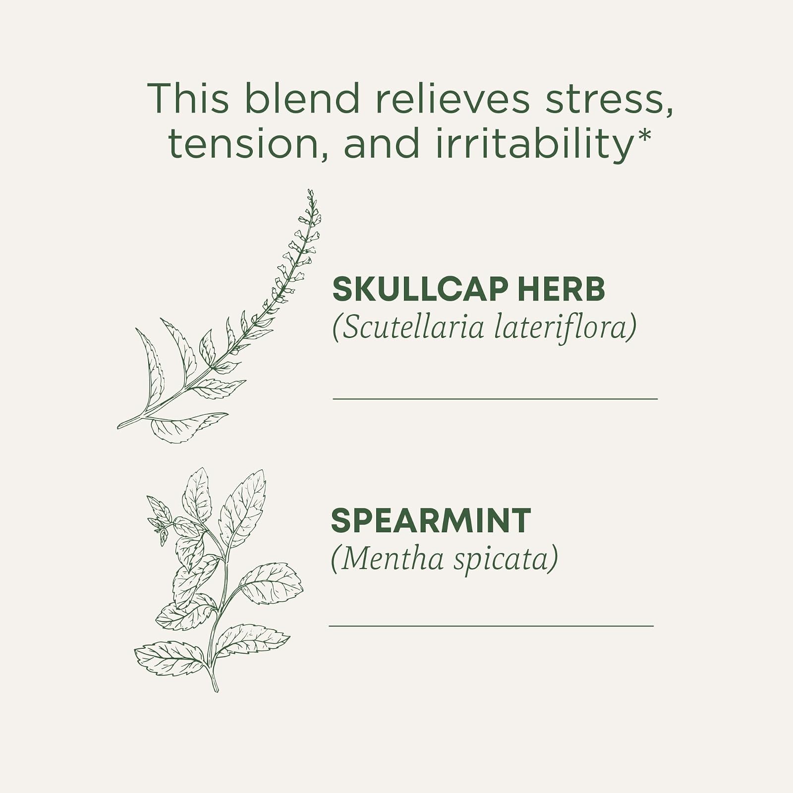 calming herbal tea blend