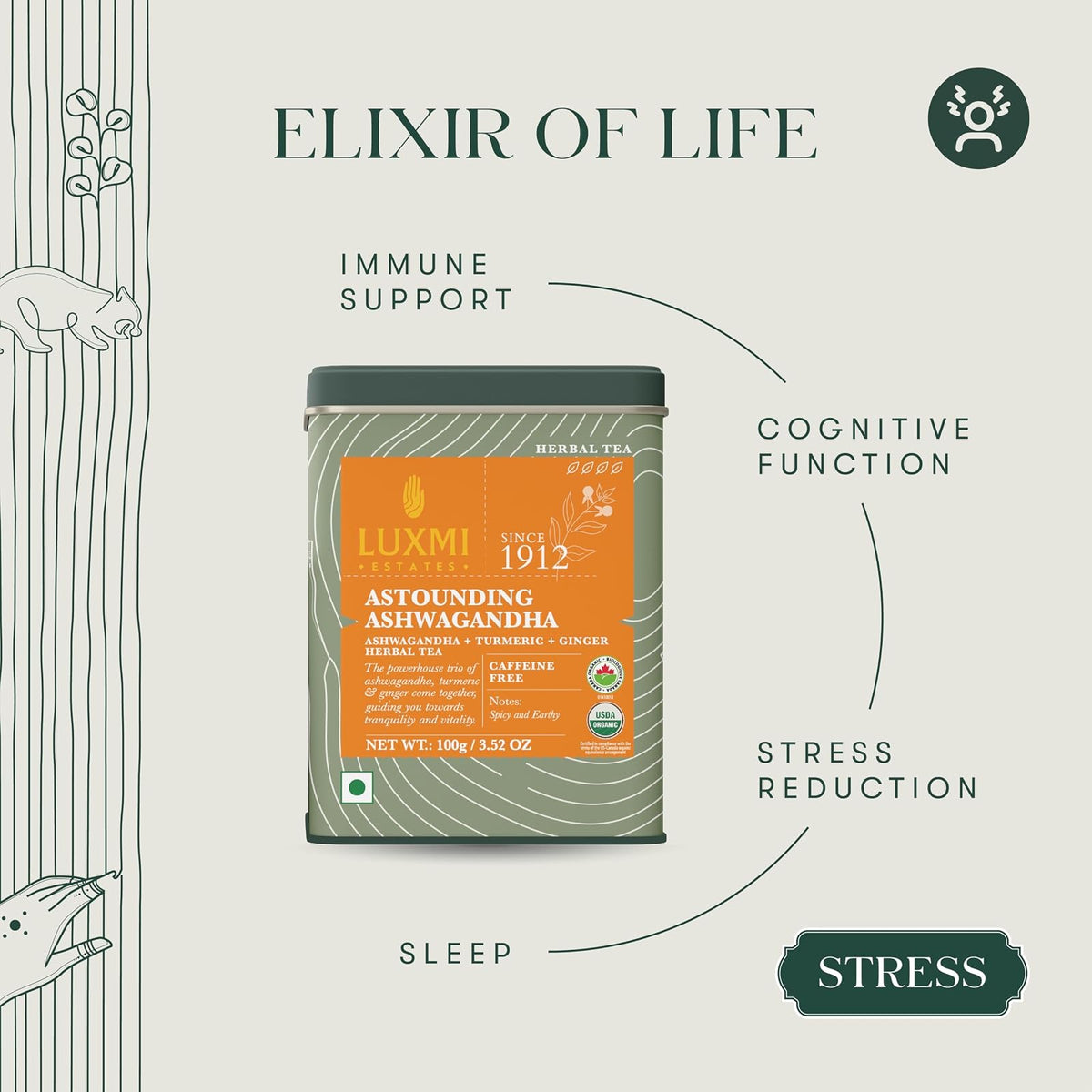 calming herbal tea for relaxation