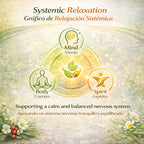 calming herbal tea for stress relief