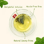 calming lemon balm herbal infusion