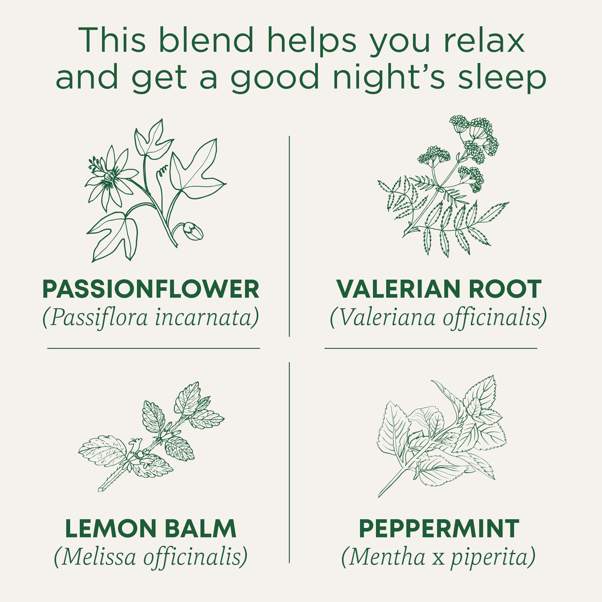 calming valerian root tea bags