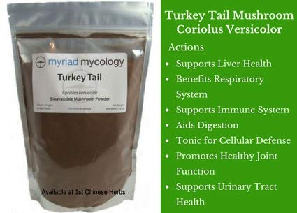 Canada-made Turkey Tail mushroom extract