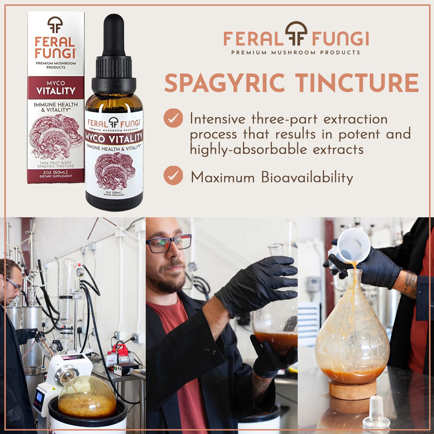 Canadian made mushroom tincture benefits