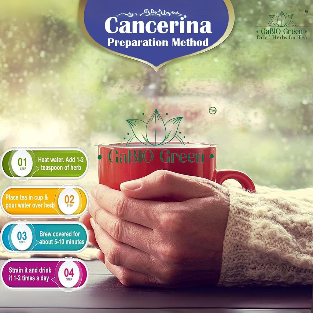 Cancerina dandelion tea for detox