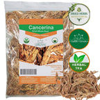 Cancerina ginger tea for digestion