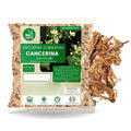 Cancerina herbal tea for wellness