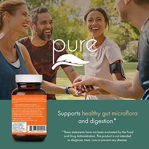 Candex supplement for digestive comfort