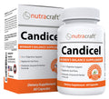Candicel oregano supplement for gut health