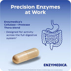 Candidase for enhanced digestion