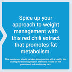 capsaicin extract capsules for metabolism boost