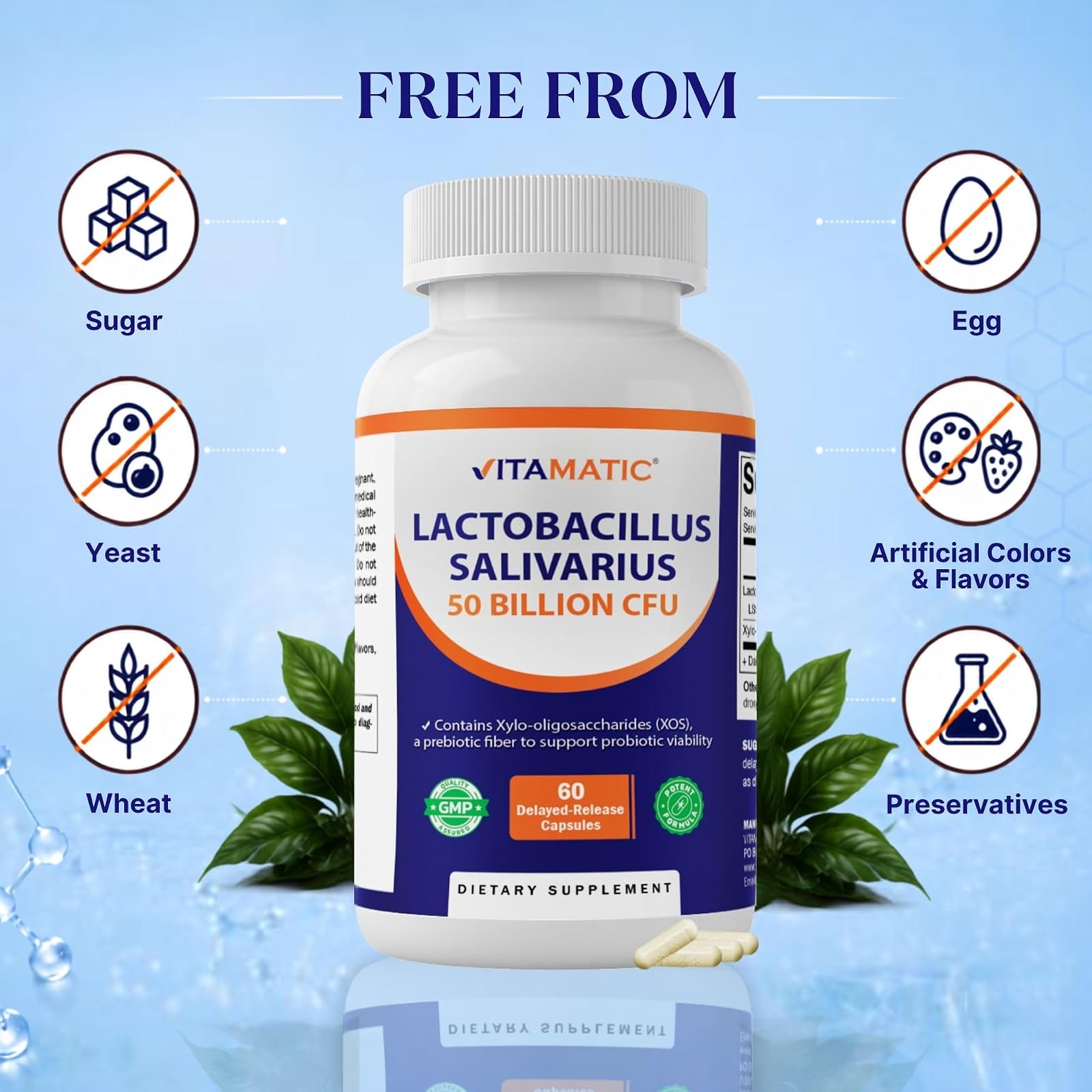 capsules for balanced gut flora