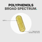 Capsules for enhanced cellular protection