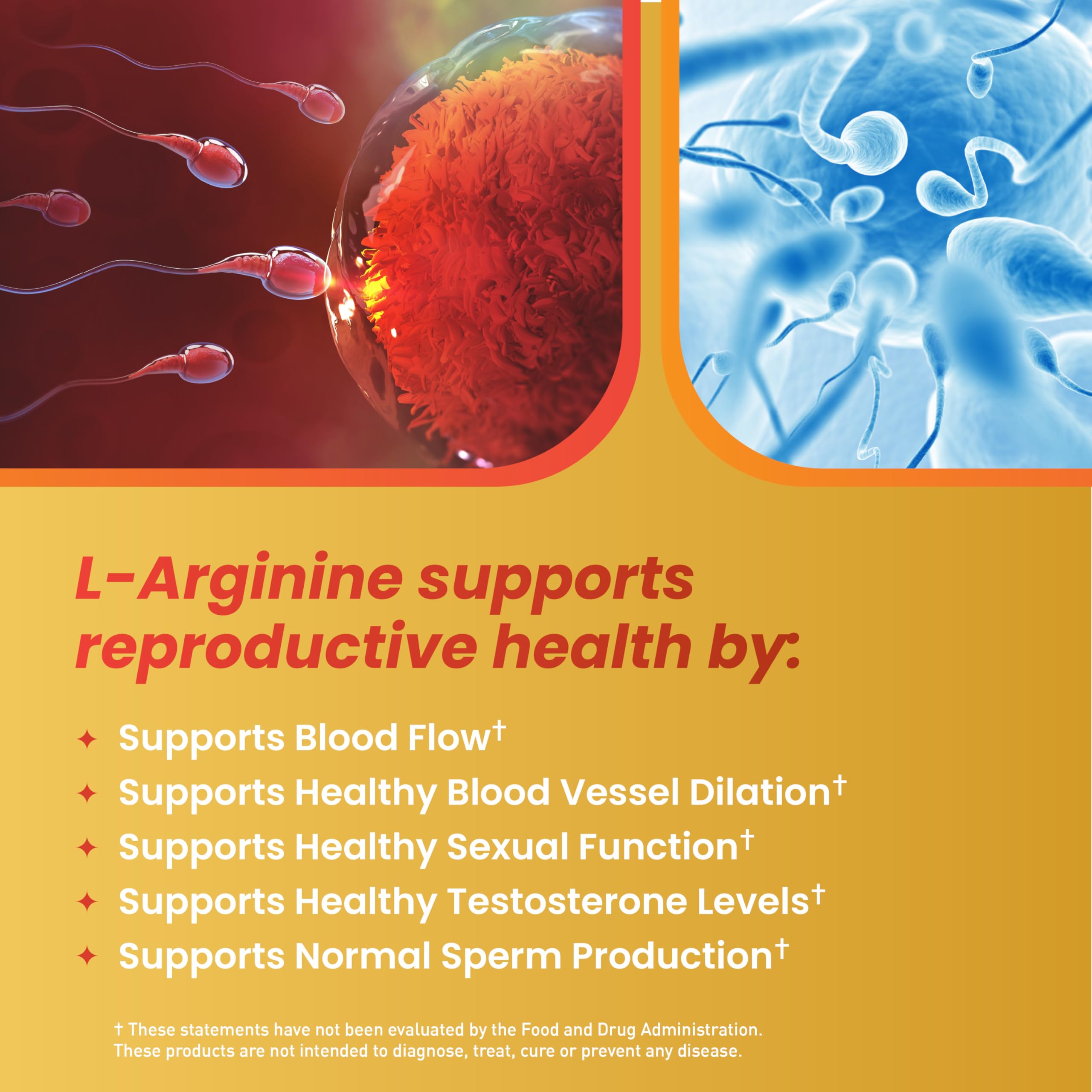 capsules for enhanced male reproductive health