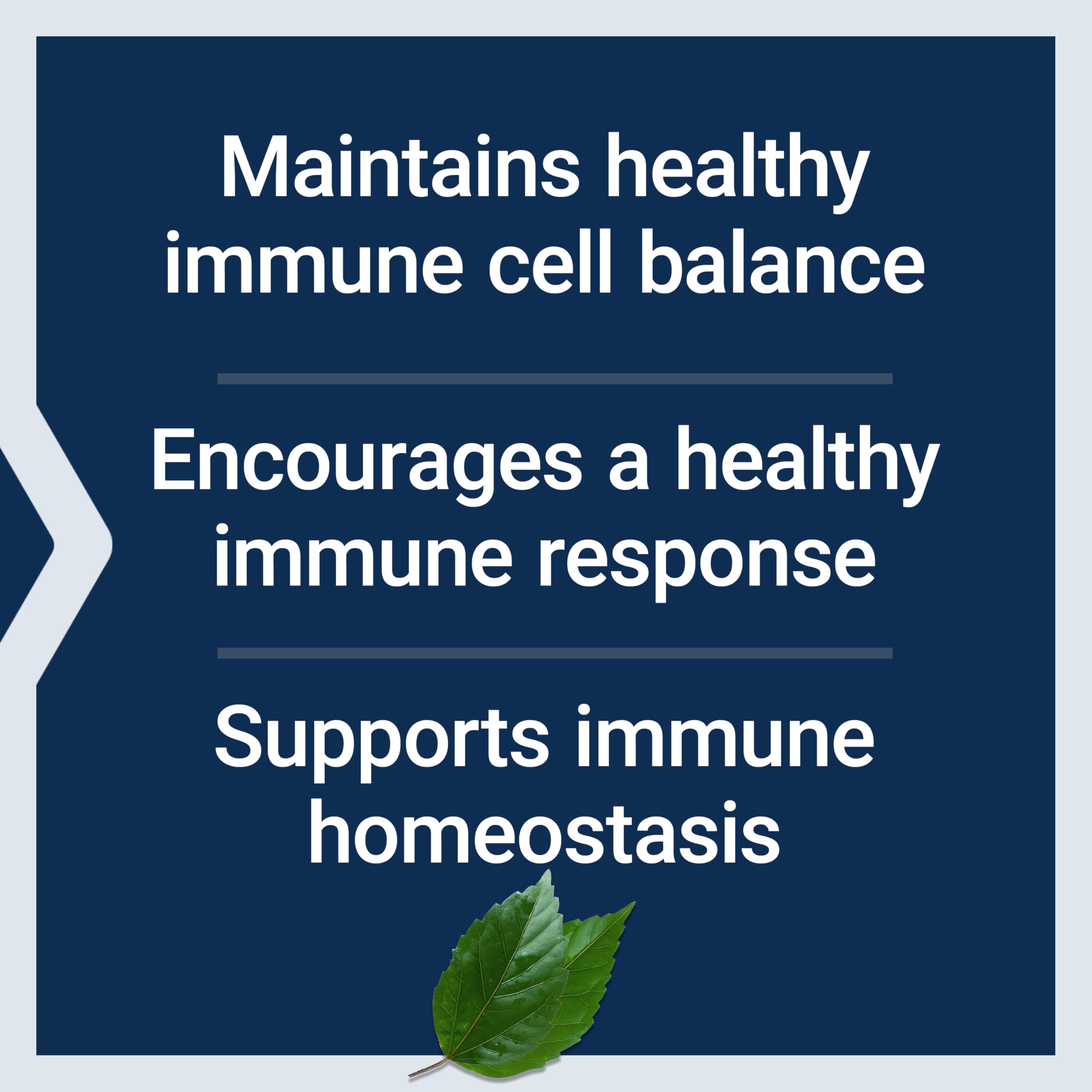 capsules for overall wellness