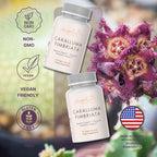 Caralluma Fimbriata capsules for healthy eating