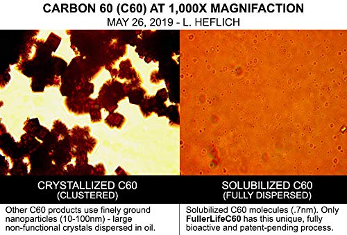 carbon 60 antioxidant benefits