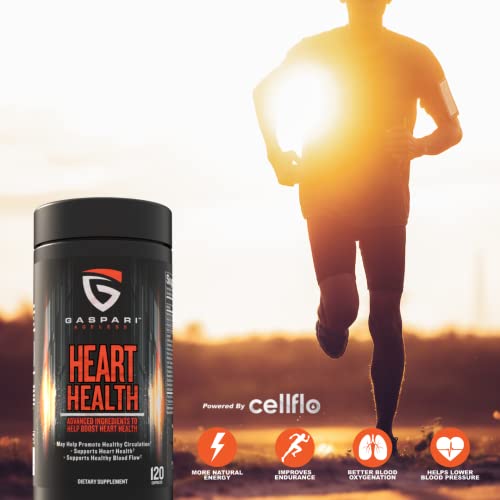 cardiac muscle support supplements