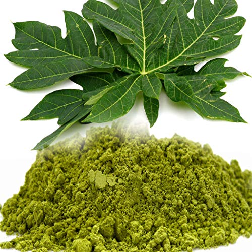 carica papaya leaf powder uses