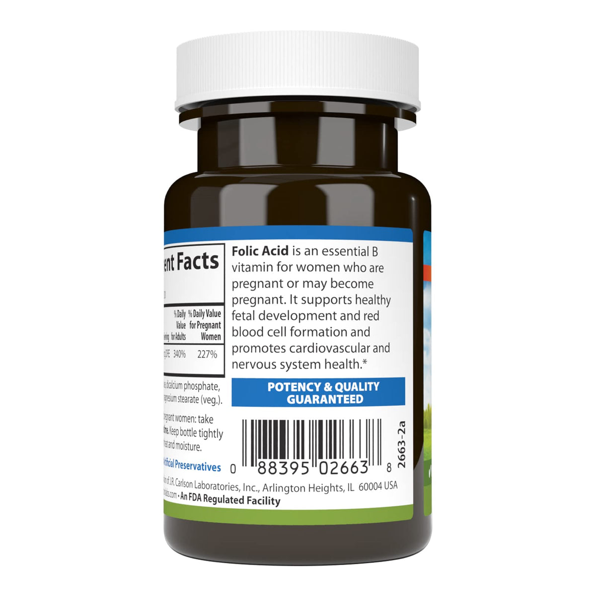 Carlson vitamins for pregnancy health