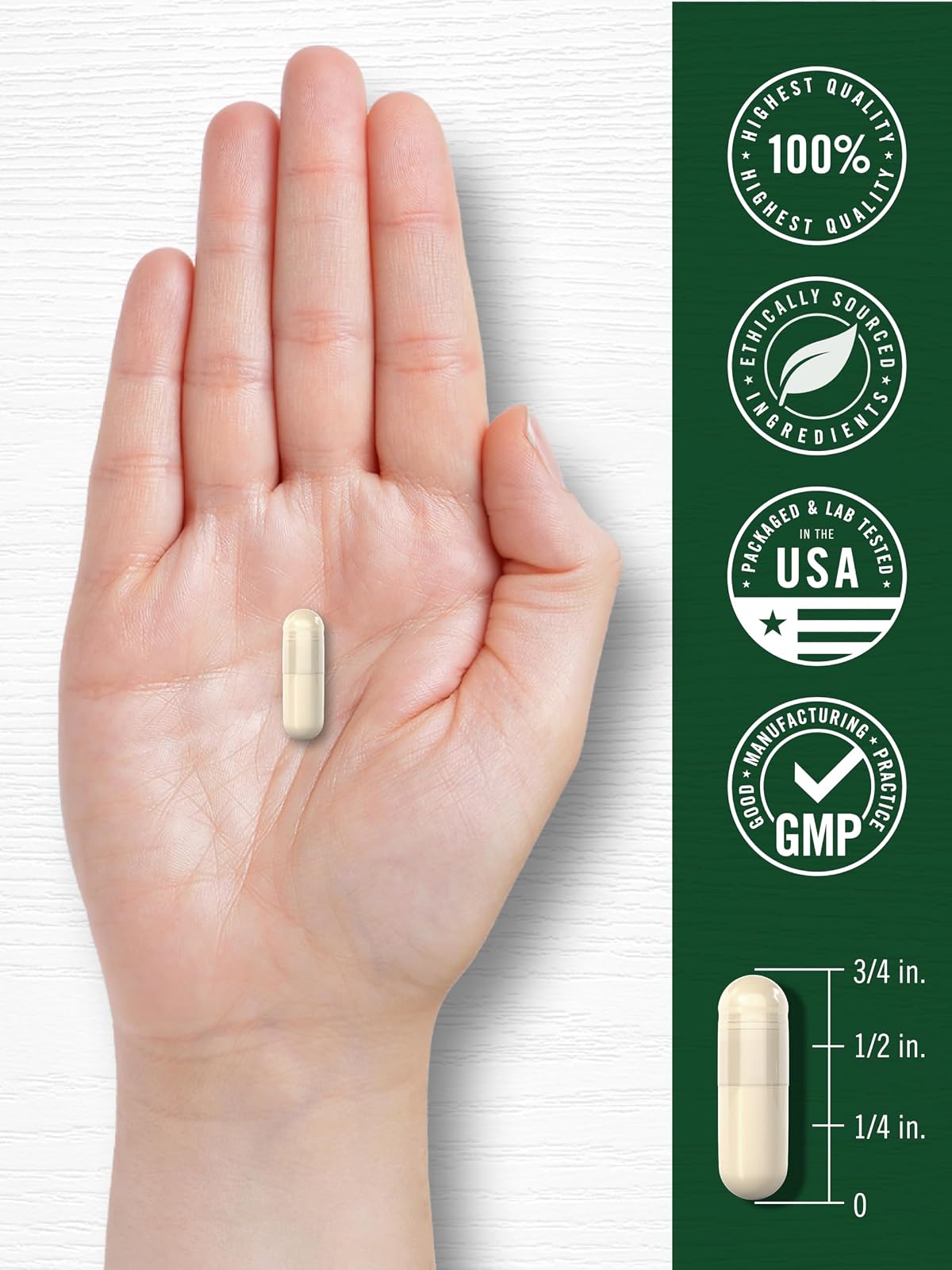Carlyle 200 count kidney bean capsules