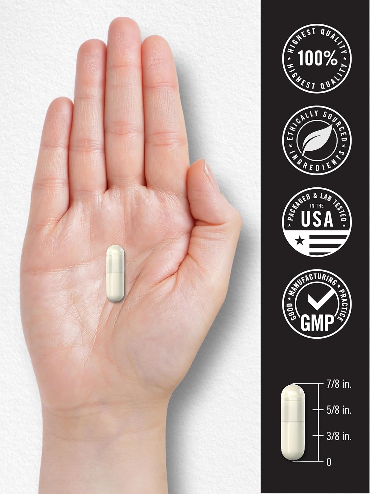 Carlyle acetyl l-carnitine health benefits