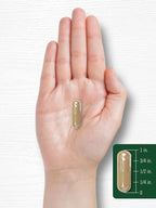 Carlyle artichoke for overall wellness