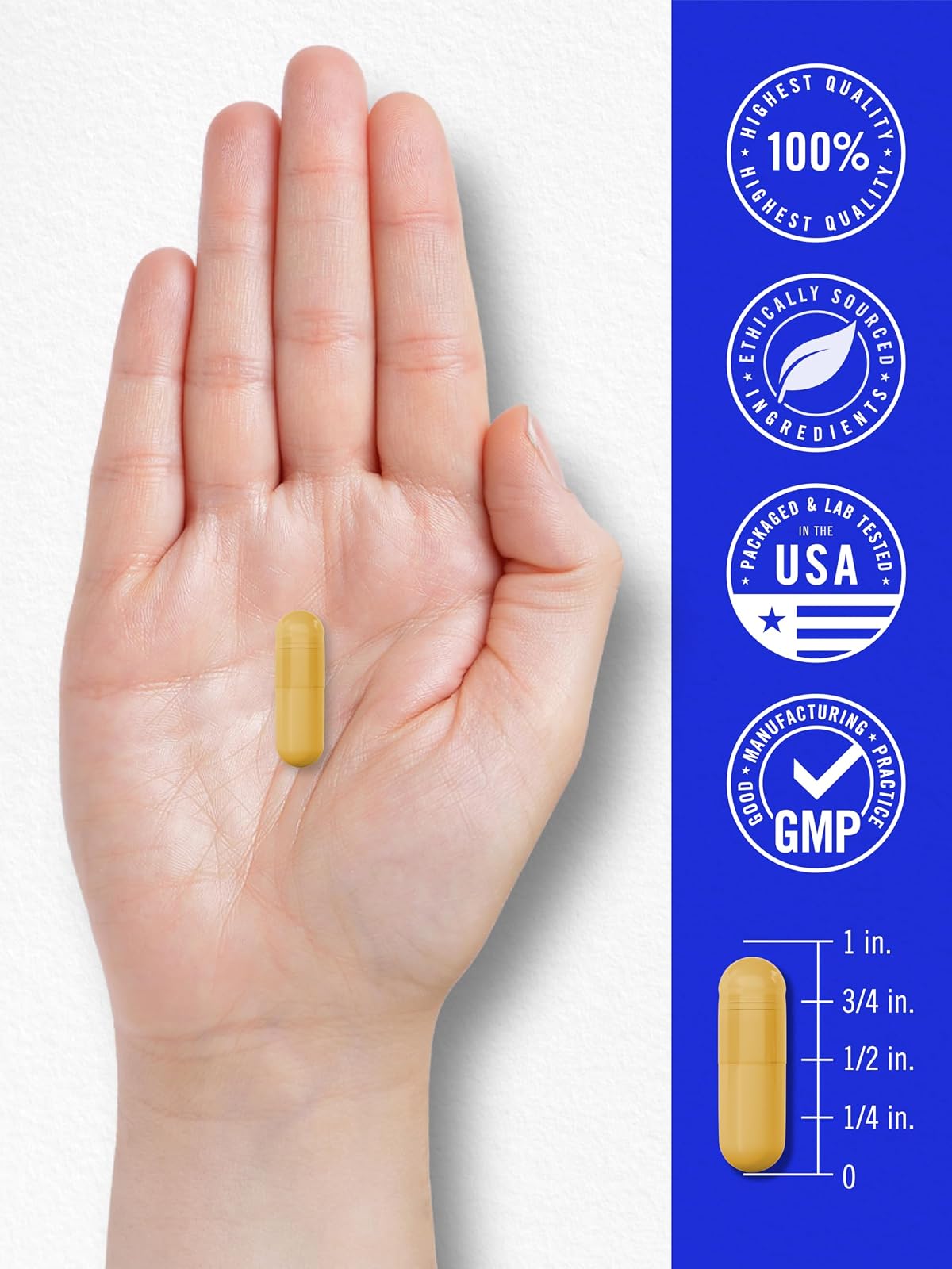 Carlyle B-100 complex dietary supplement