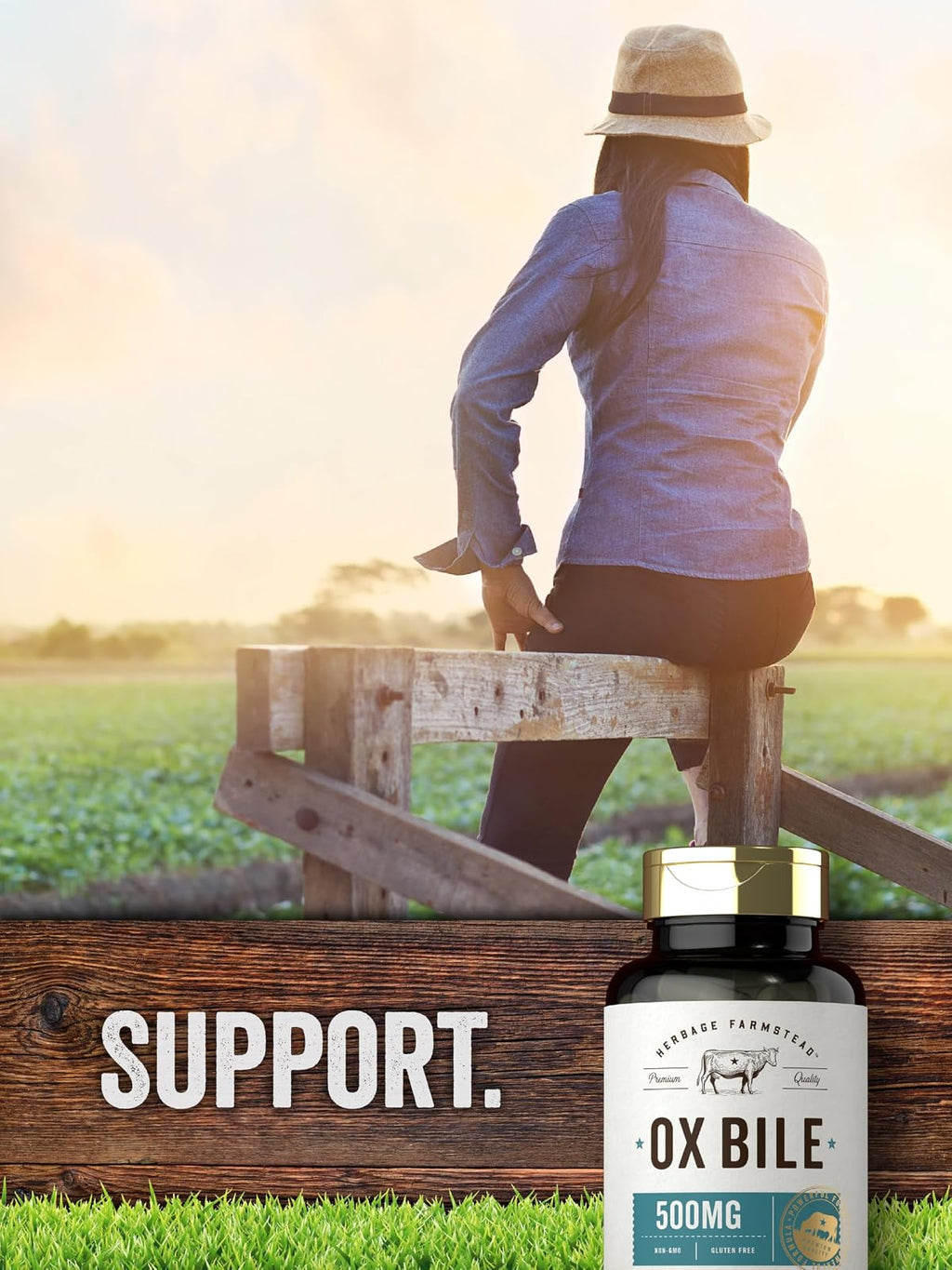 Carlyle capsules for digestive comfort